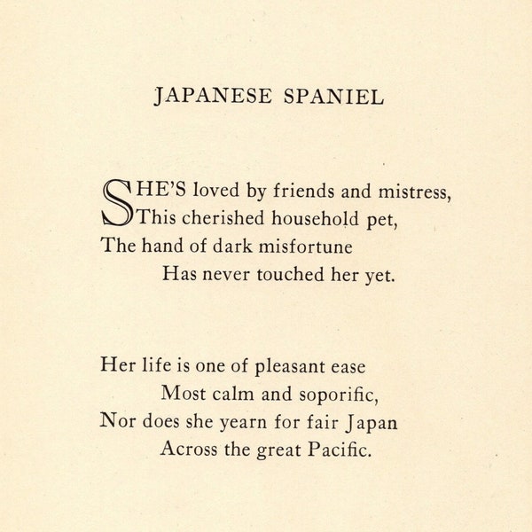 Japanese Spaniel - Etsy