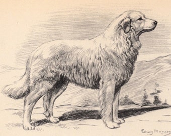 Great Pyrenees Print - Etsy