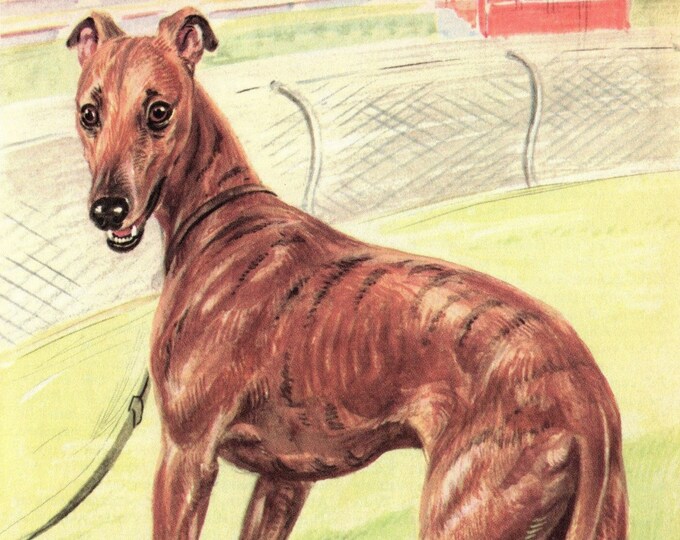 Vintage Greyhound Print Wall Art Decor Scholz Greyhound Art ...