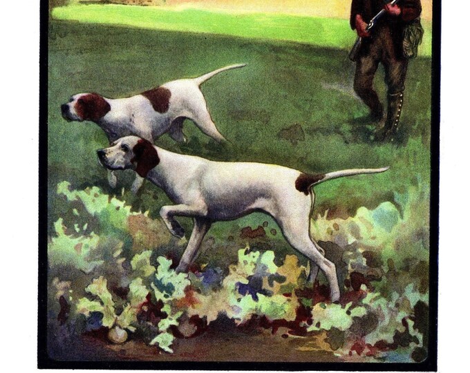 This item is unavailable - Etsy