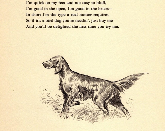 1940s Antique Irish Setter Poetry Print Wall Art Decor Morgan Dennis ...
