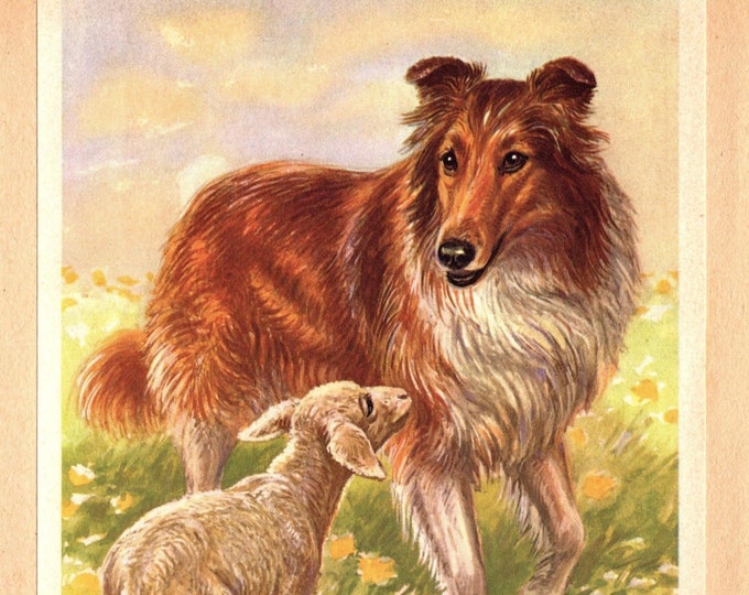 Vintage Collie Print Wall Art Decor Scholz Collie and Lamb Art ...