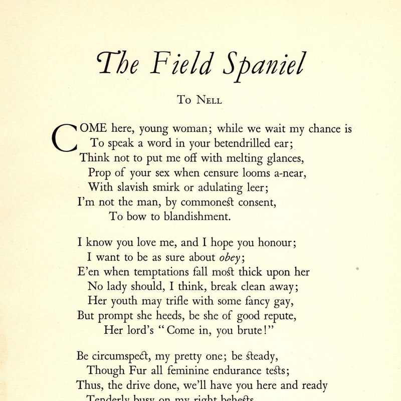 Vintage Spaniel - Etsy