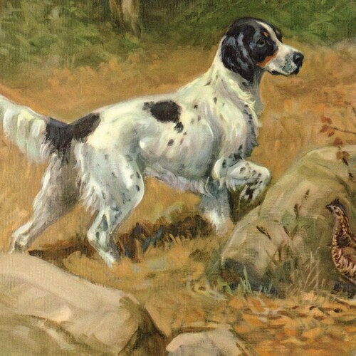 Vintage Irish Setter Print Wall Art Decor Edwin Megargee Irish - Etsy