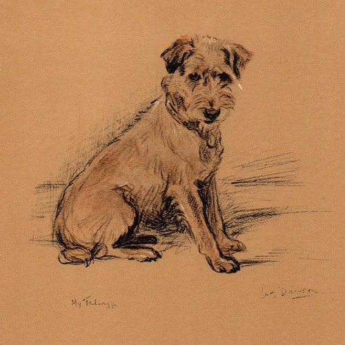 Murray art Print Border Terrier - Etsy