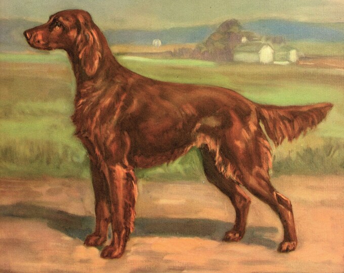 Vintage Irish Setter Print Wall Art Decor Edwin Megargee Irish Setter ...