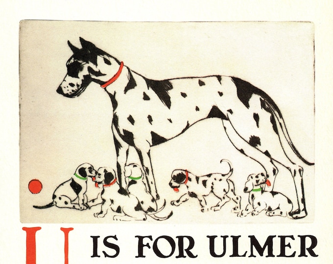 Vintage Great Dane Print Wall Art Decor ABC Letter U Alphabet Print ...