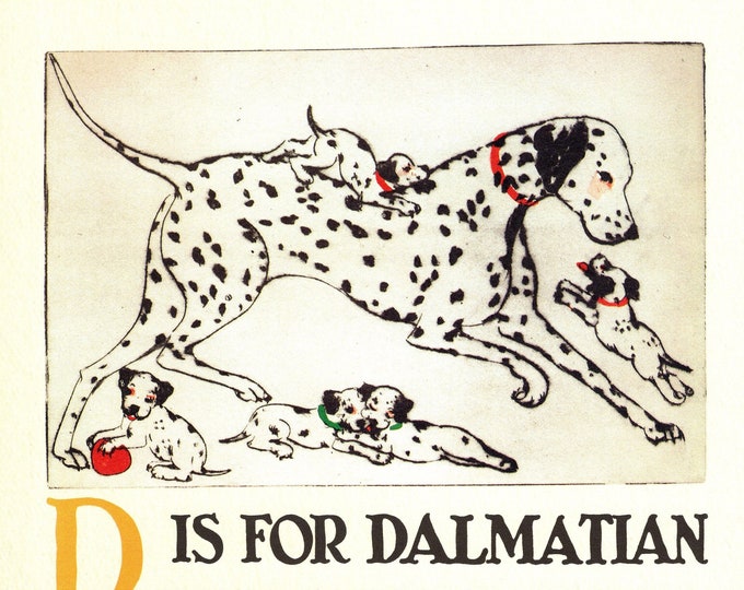 Vintage Dalmatian Print ABC Print Letter D Alphabet Wall Art Print ...