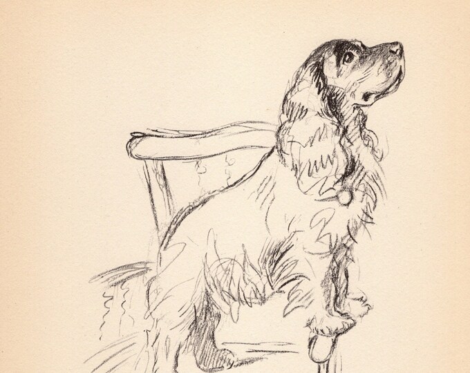 1940 Antique Cocker Spaniel Print Wall Art Decor Lucy Dawson Cocker ...
