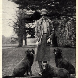 1930's Antique LABRADOR RETRIEVER Dog Print Bramshaw Breed Champions ...