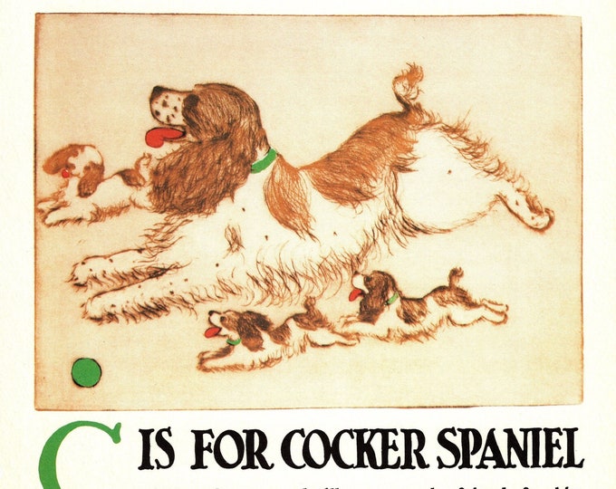 Vintage Cocker Spaniel Print ABC Letter C Print Alphabet Wall Art Print ...