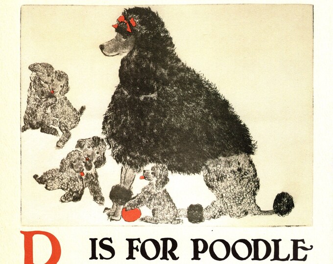 Vintage Poodle Print Wall Art Decor ABC Print Letter P Alphabet Print ...