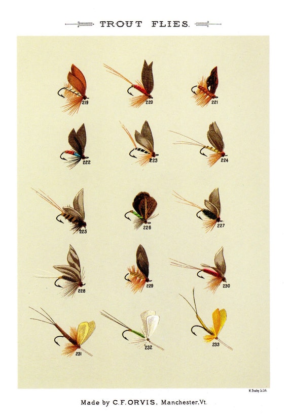 Vintage Fly Fishing Print Gallery Wall Art Trout Flies Print - Etsy