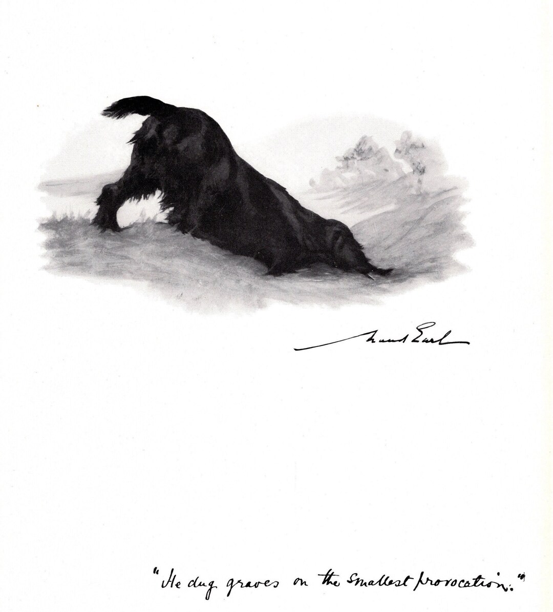 Antique Cocker Spaniel Print Gallery Wall Art Decor Digging Holes 1914 ...