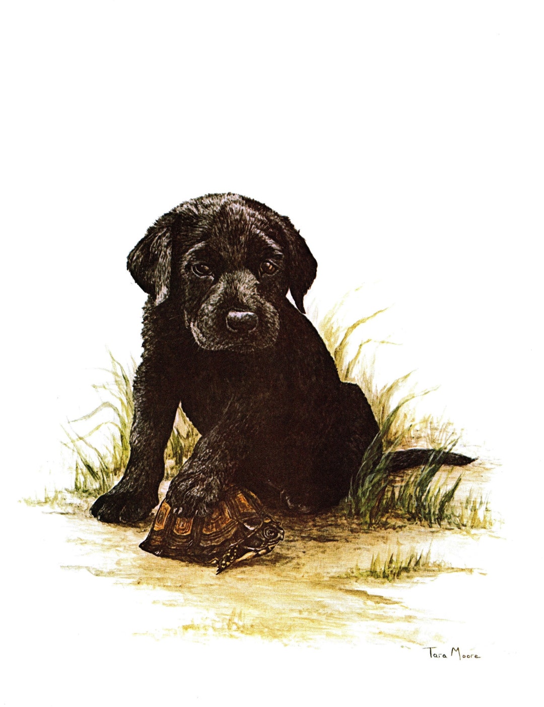 Vintage Labrador Retriever Print Gallery Wall Art Decor Black Lab Puppy ...