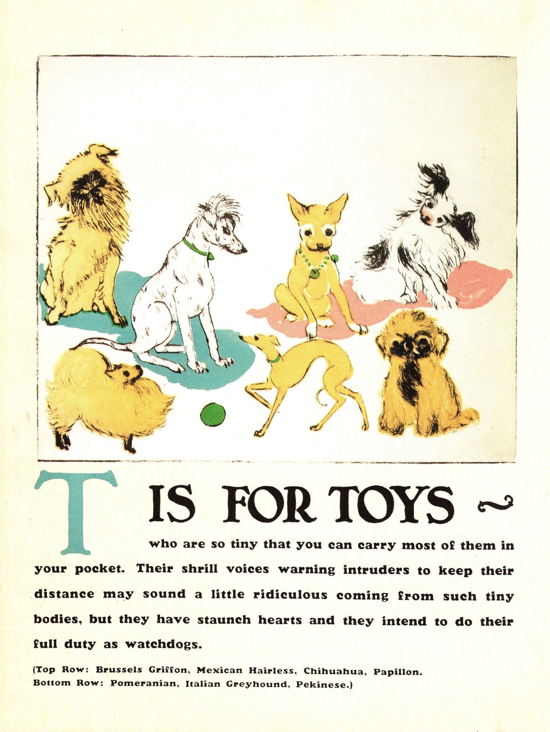 Vintage Toy Dogs Print ABC Letter T Alphabet Print Brussels Griffon ...