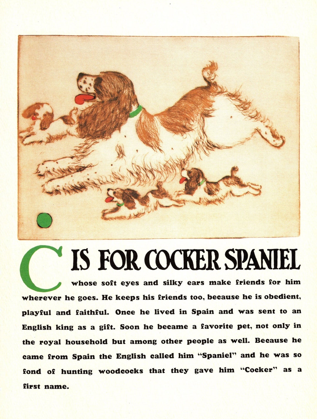 Vintage Cocker Spaniel Print ABC Letter C Print Alphabet Wall - Etsy