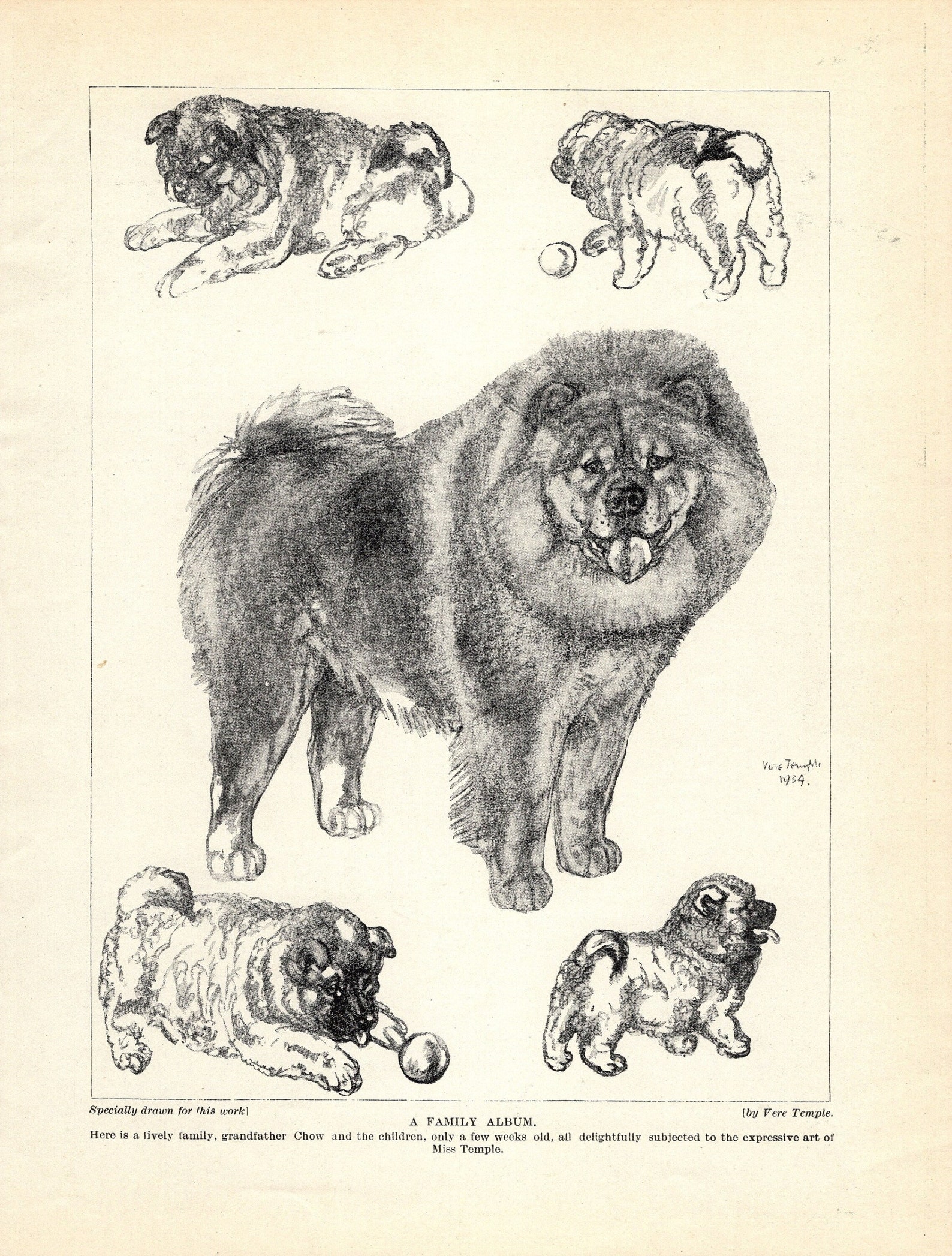 1930's Antique Chow Print Wall Art Decor Vere Temple Chow Illustration ...