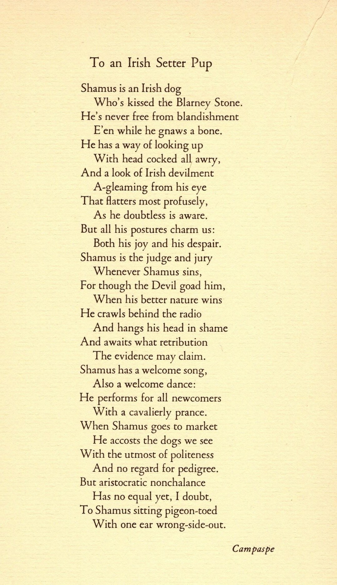 1940s Irish Setter Dog Poem Poetry Print Ode to Irish Setter Print ...