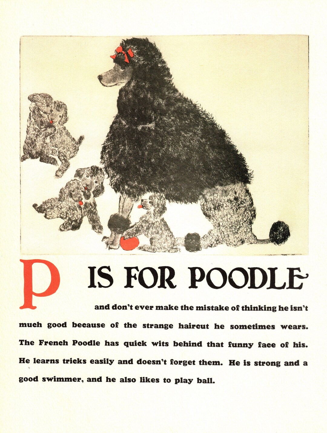 Vintage Poodle Print Wall Art Decor ABC Print Letter P Alphabet Print ...