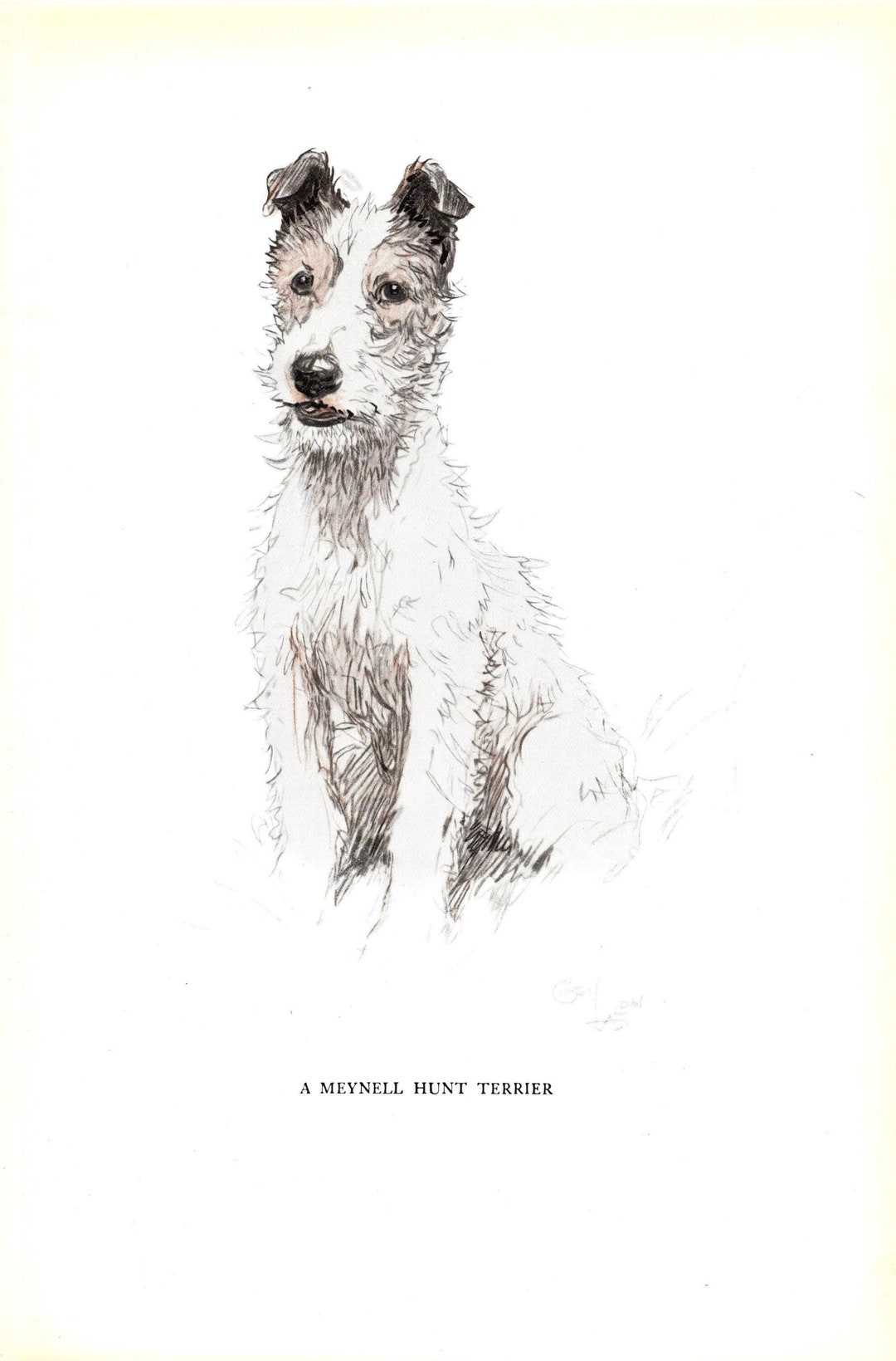 Cecil Aldin Fox Hunt Terrier Print Gallery Wall Art Decor Terrier ...