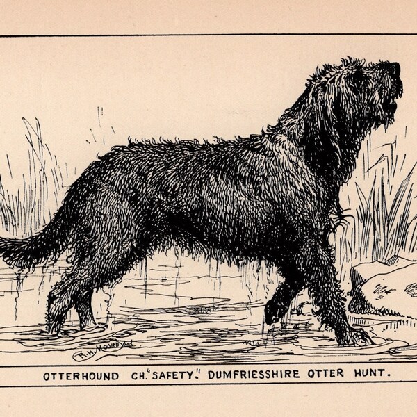Hunting Dog Print - Etsy