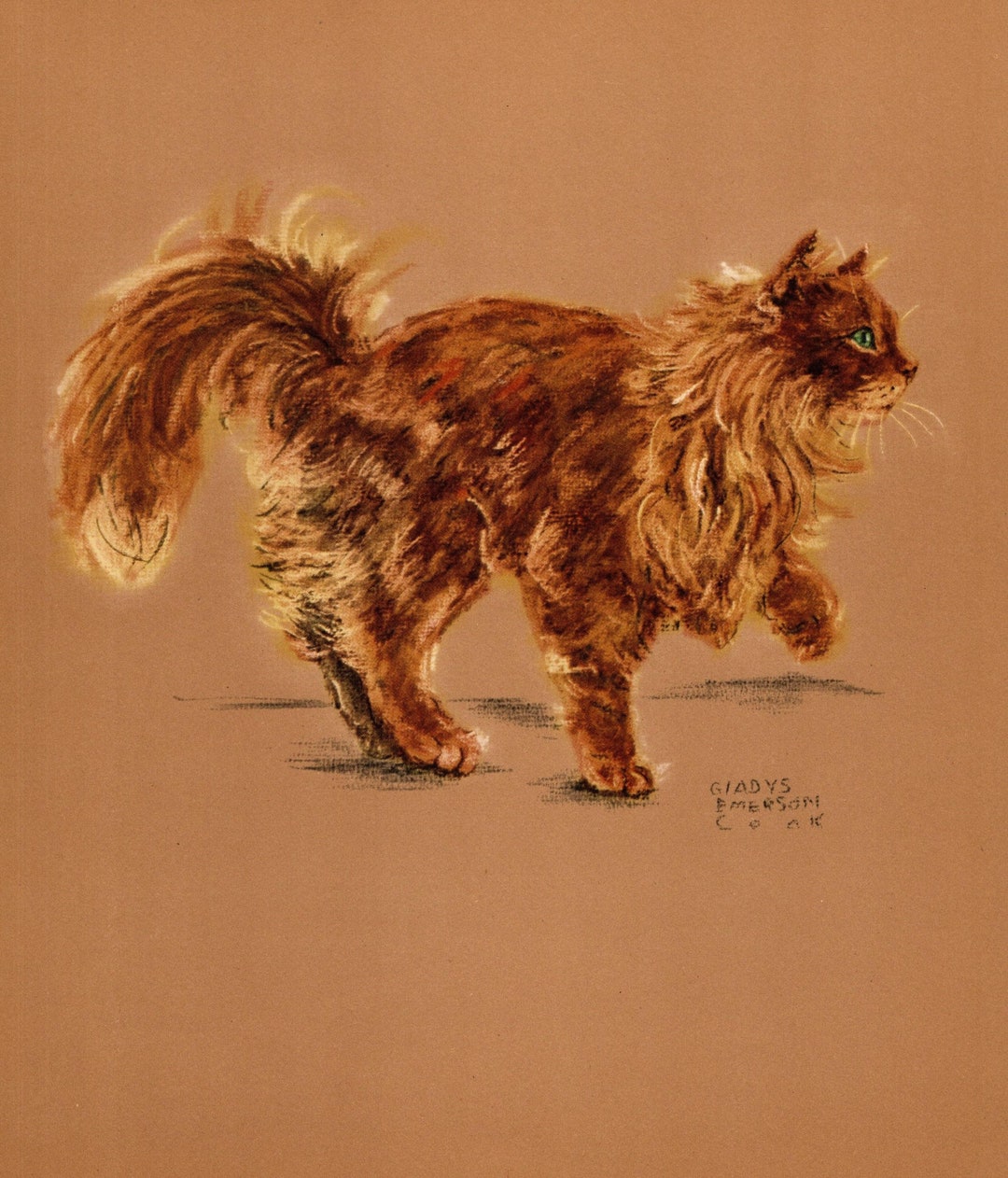 Angora Cat Print Red Angora Cat Illustration Wall Art 1941 Gladys ...