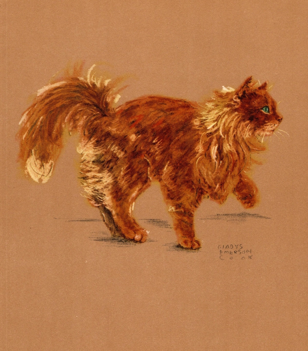 Angora Cat Print Red Angora Cat Illustration Wall Art 1941 Gladys ...
