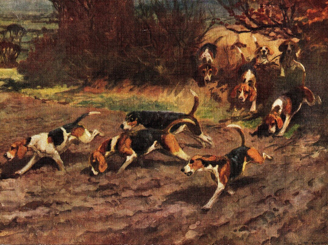 1930's Antique Beagle Print Wall Art Decor Fox Hunt Beagle Pack Hounds ...