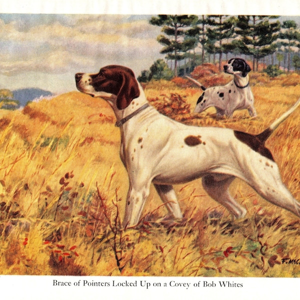 English Pointer Art - Etsy