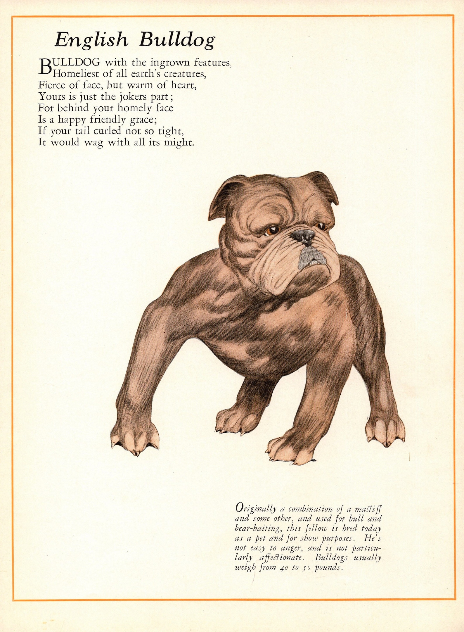 Vintage Bulldog Print 1920s Sweet Bulldog Poetry Poem - Etsy
