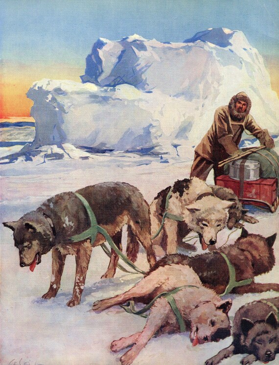 Eskimo Snow With Sled Dogs