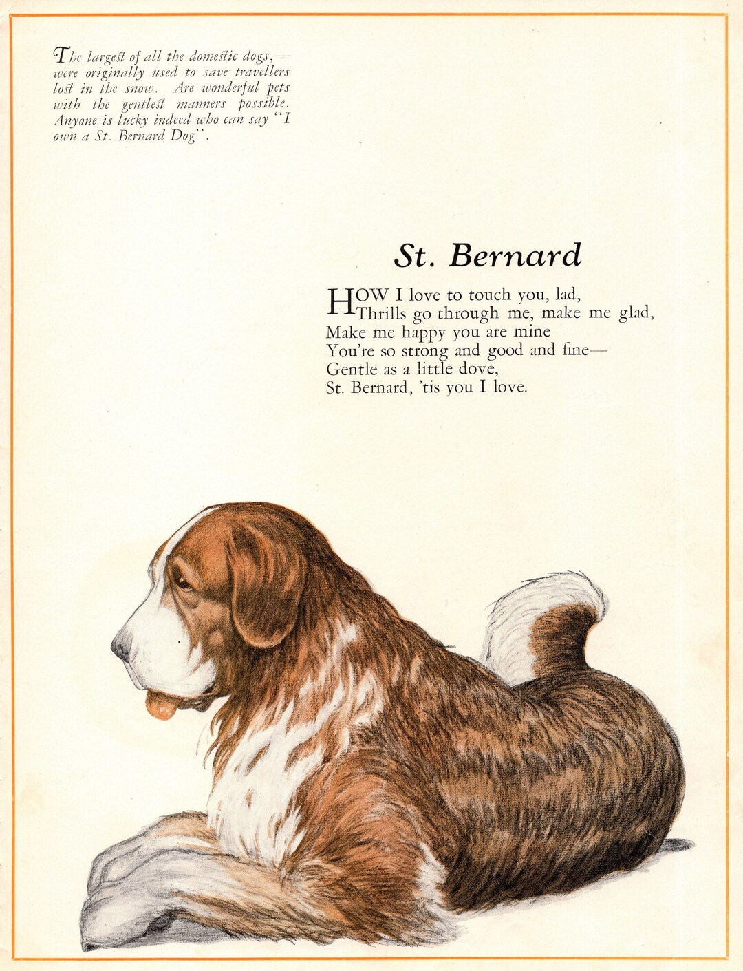 Vintage St Bernard Print Wall Art Decor 1920s Saint Bernard - Etsy