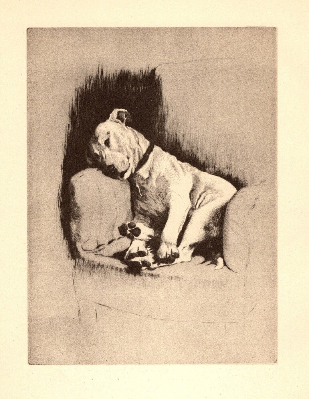 Vintage Bull Terrier Print Wall Art Decor 1933 Cecil Aldin Bull Terrier ...