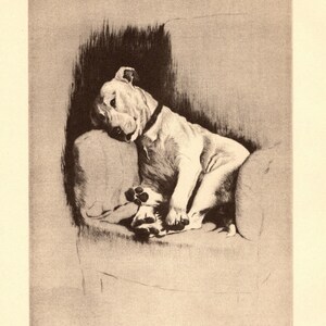 Vintage Bull Terrier Print Wall Art Decor 1933 Cecil Aldin Bull Terrier ...