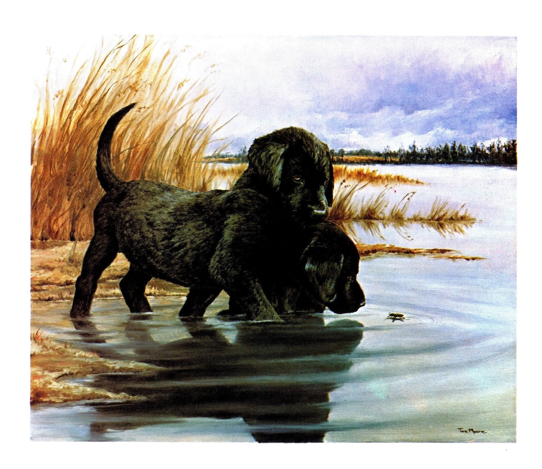 Vintage Labrador Retriever Print Gallery Wall Art Decor Black Lab Wall ...