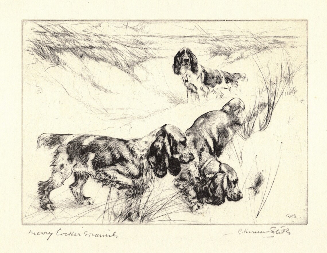 1930 Antique Cocker Spaniel Print Hunting Dog Wall Art Decor - Etsy