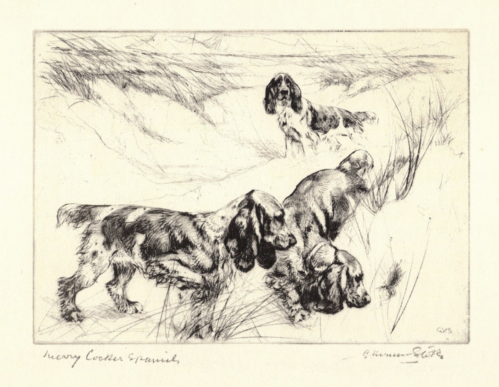 1930 Antique Cocker Spaniel Print Hunting Dog Wall Art Decor - Etsy