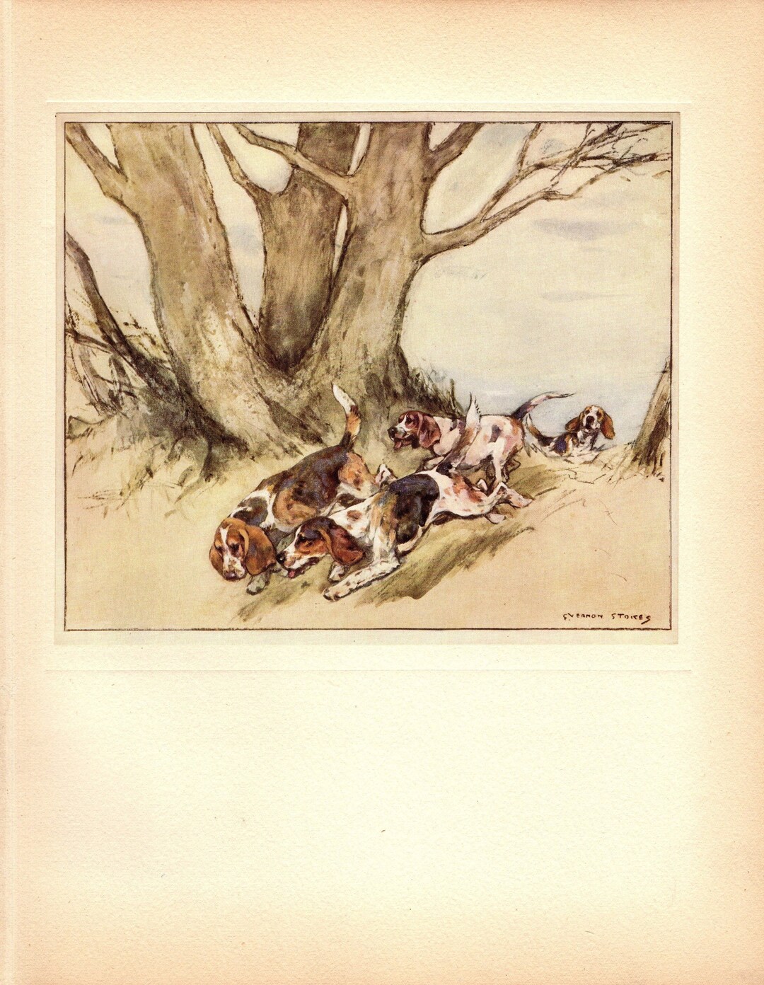 Antique Beagle Art Print 1938 Vernon Stokes Beagle Hunting Dog ...