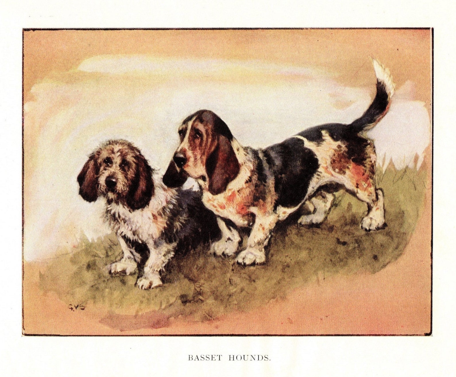Antique Basset Hound Print Wall Art Decor C1920 Vernon Stokes Basset ...