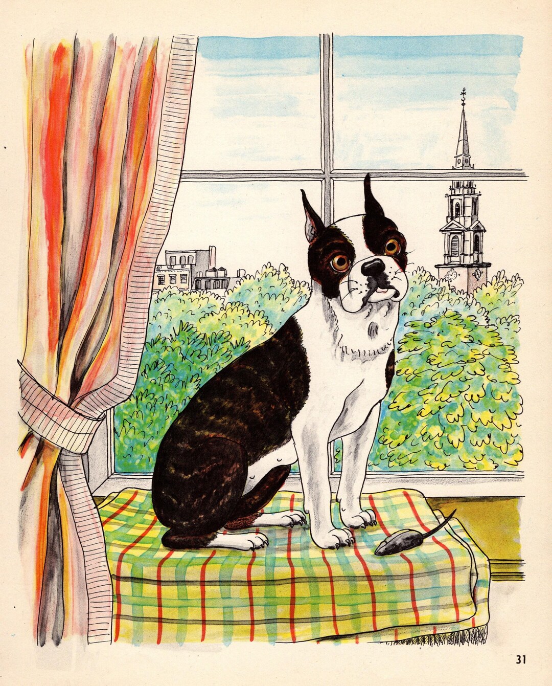 1950 Vintage Boston Terrier Print Wall Art Decor Boston Terrier Dog ...
