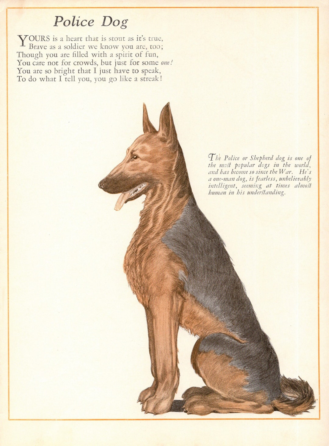 Vintage German Shepherd Print Wall Art Decor 1920s Police Dog - Etsy