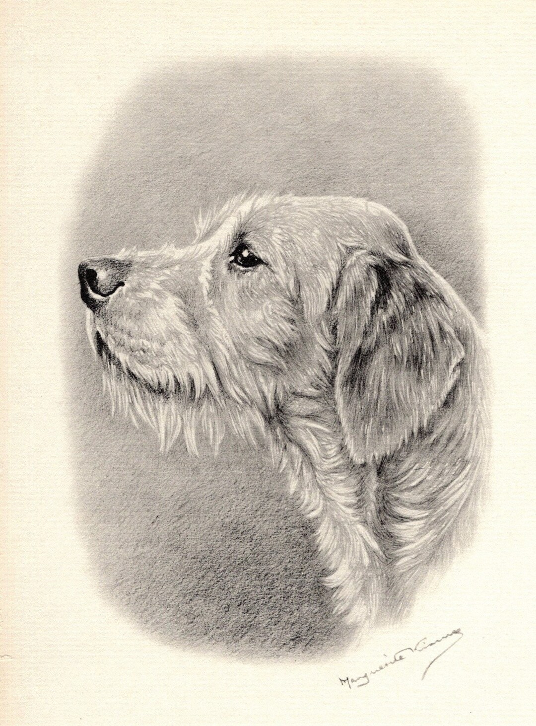 1938 Antique Welsh Foxhound Art Print Marguerite Kirmse Welsh Hound Dog ...