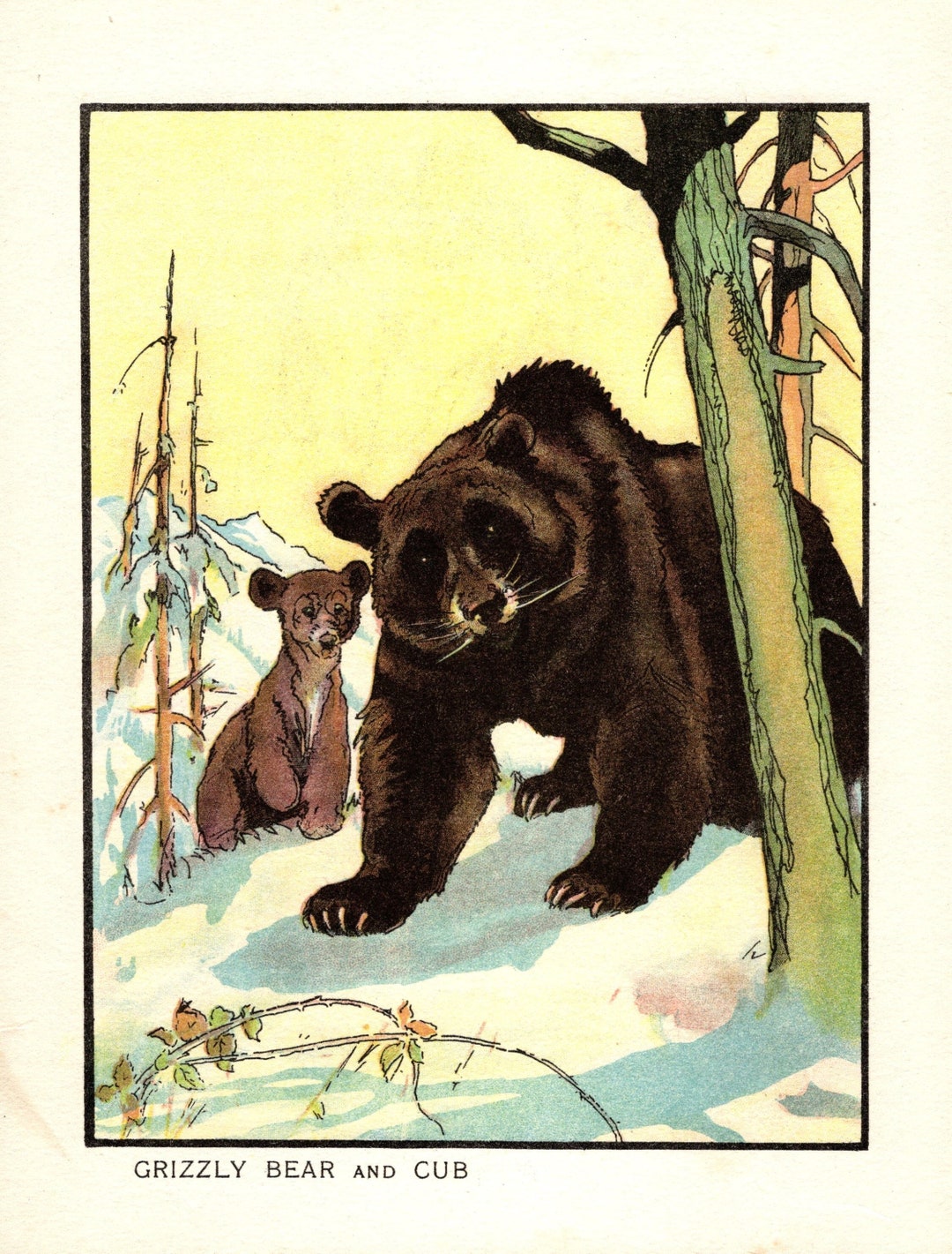 1920s Antique Grizzly Bear Print Wall Art Decor Vernon Stokes Bear and ...