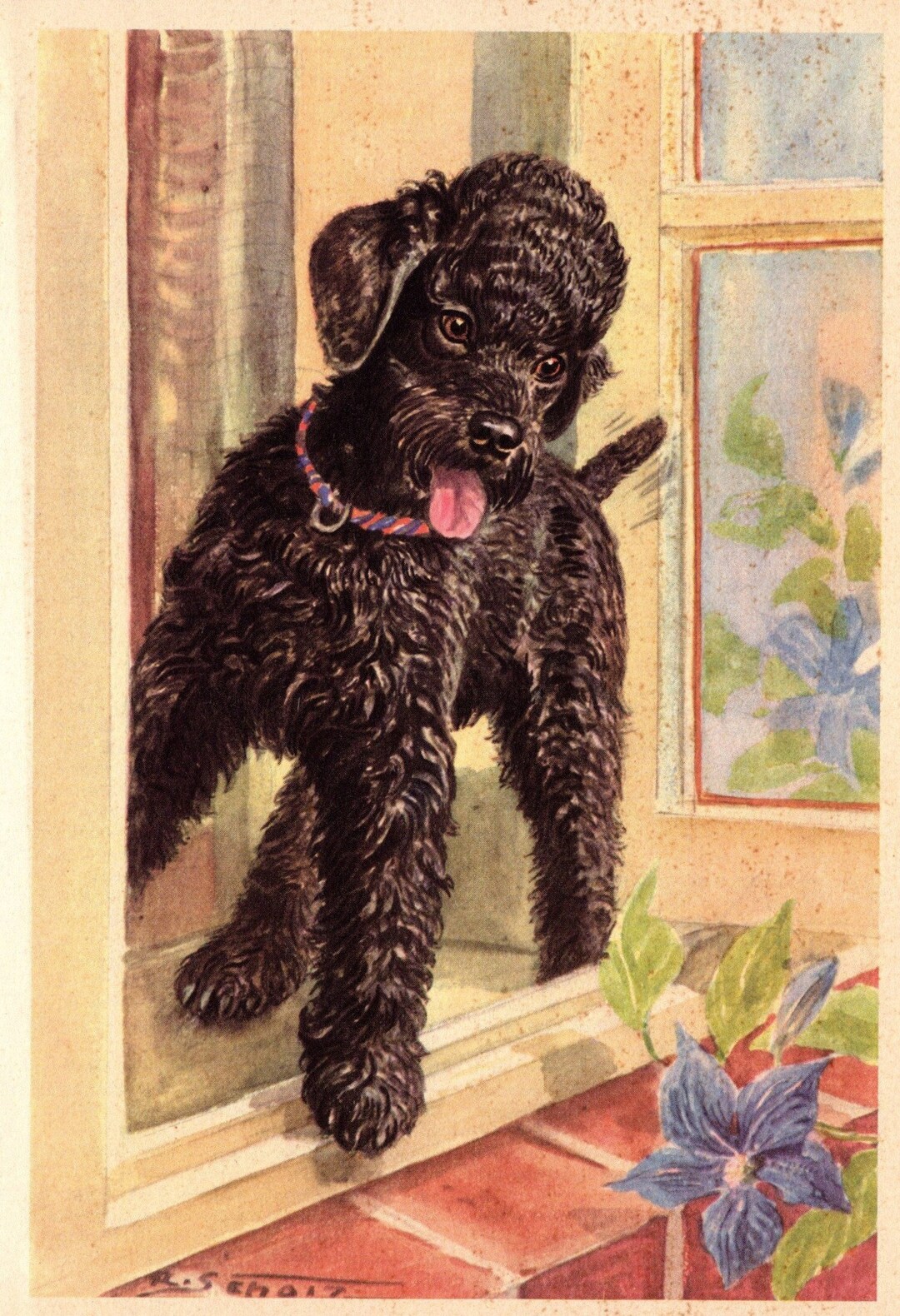 Vintage Poodle Print Wall Art Decor Scholz Poodle Dog Art Illustration ...