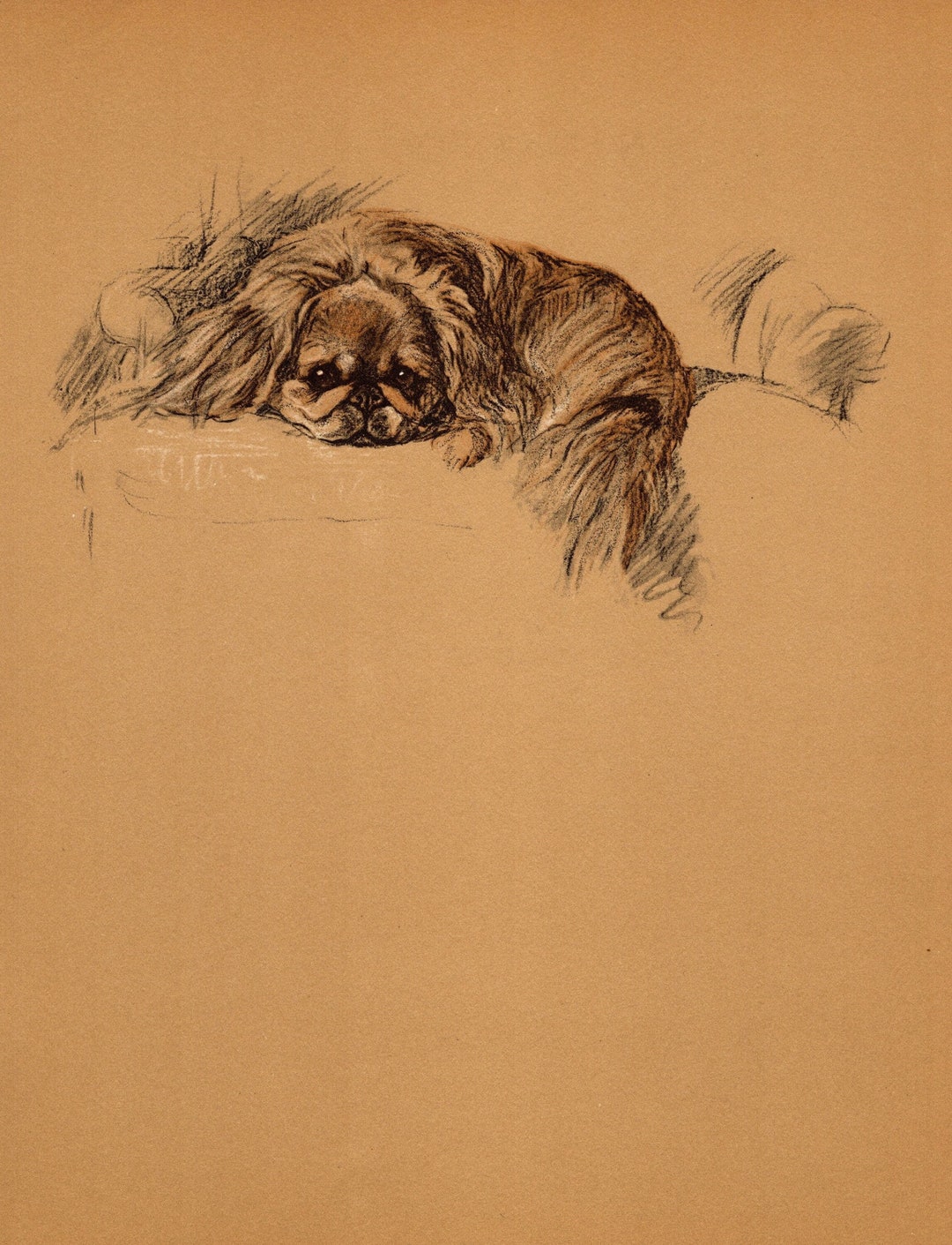 Lucy Dawson Pekingese Print Wall Art Decor Vintage 1937 Pekingese Dog ...