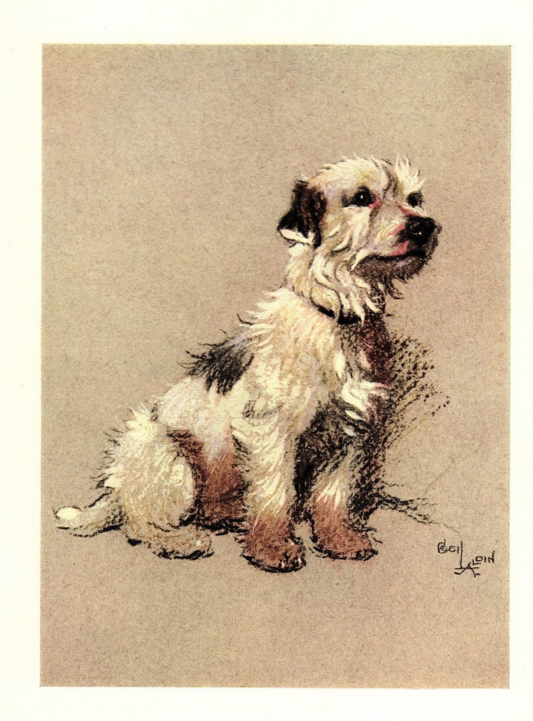 1930 Cecil Aldin Fox Terrier Print Gallery Wall Art Decor Vintage Fox ...