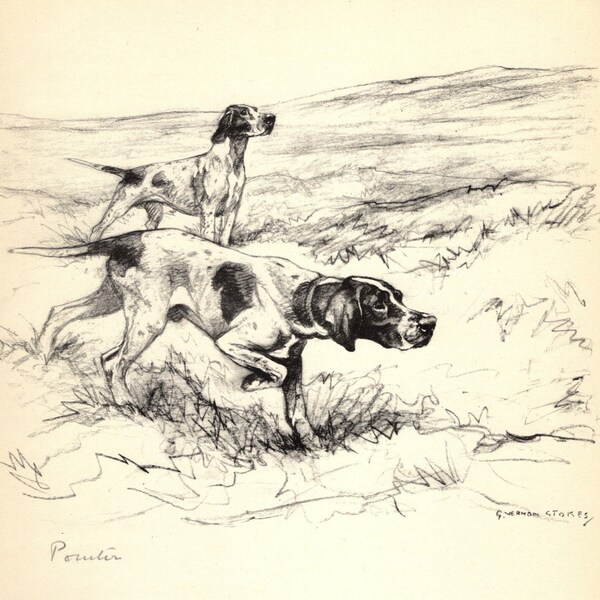 English Pointer Art - Etsy