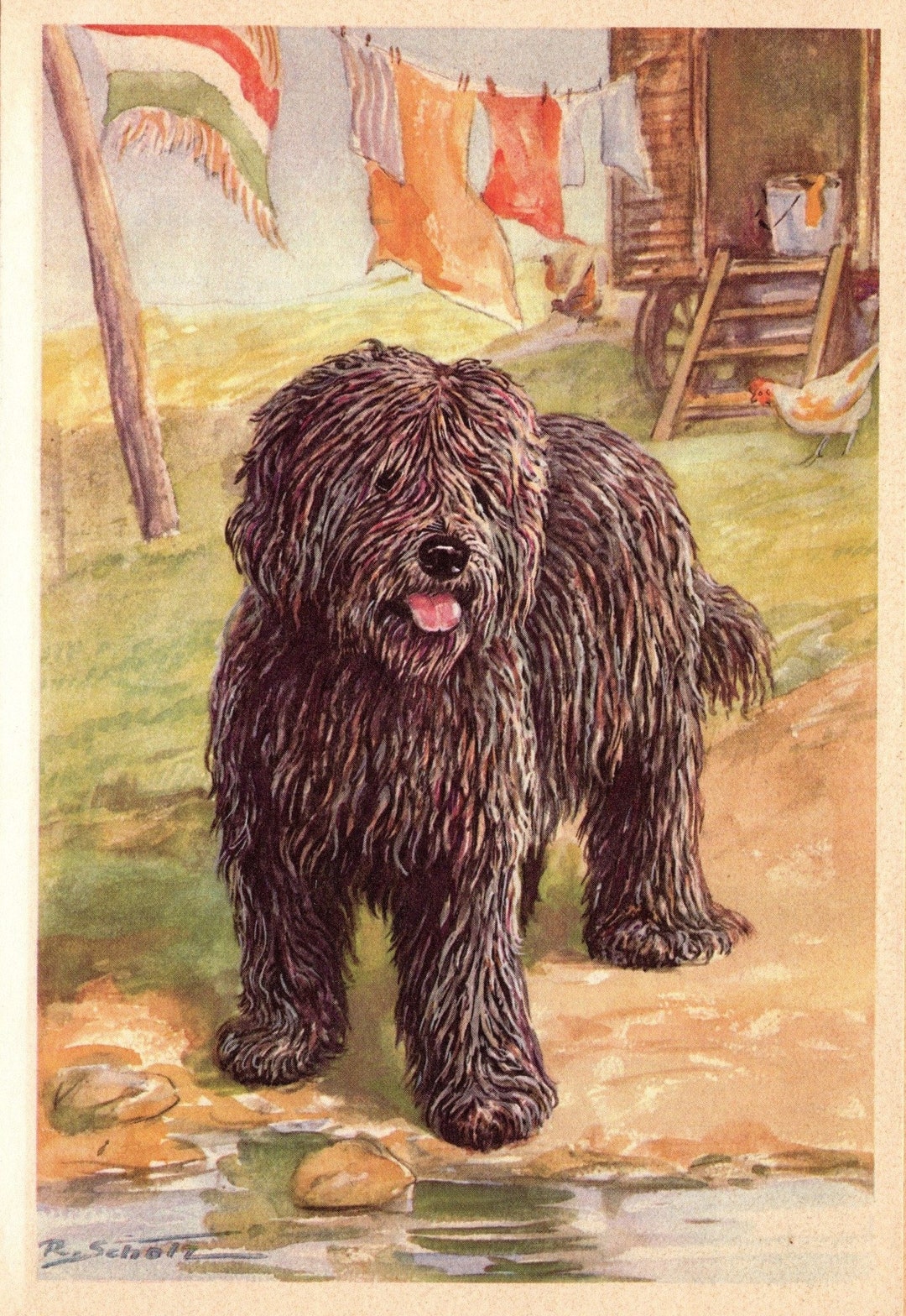 Vintage Puli Print Wall Art Decor Scholz Puli Dog Art Illustration ...