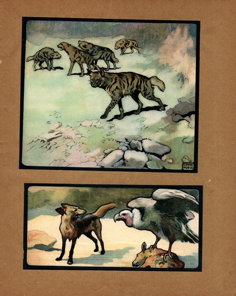 Antique Hyena Print Edwin Noble Hyena Art Illustration Wall - Etsy